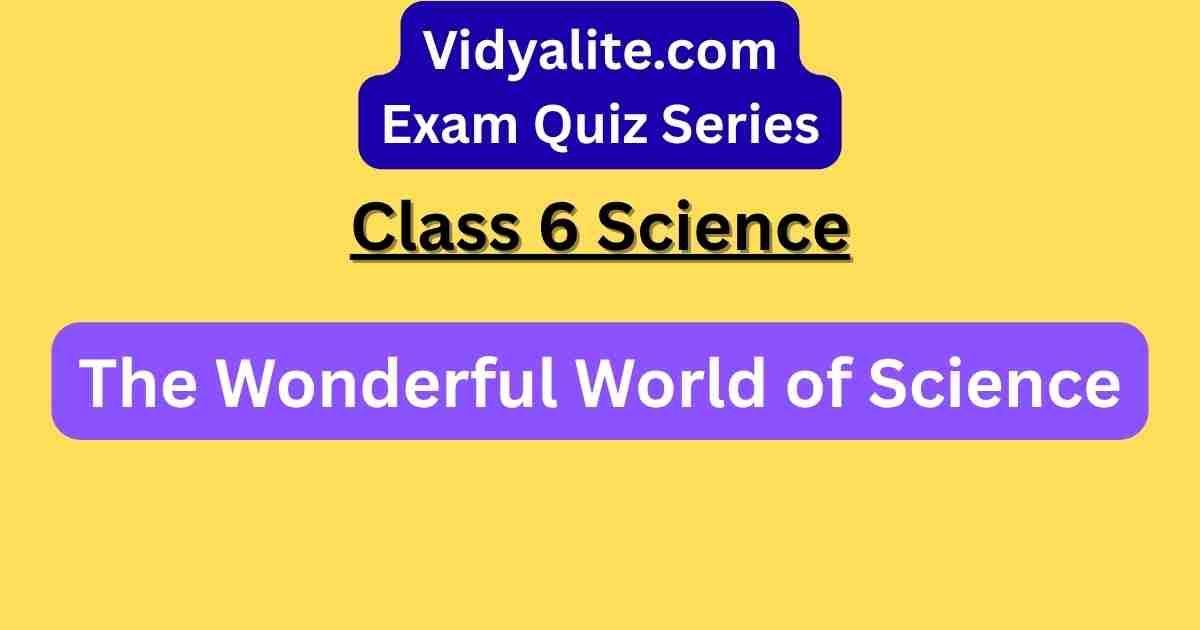 6th Science Ch 1 The Wonderful World of Science Quiz