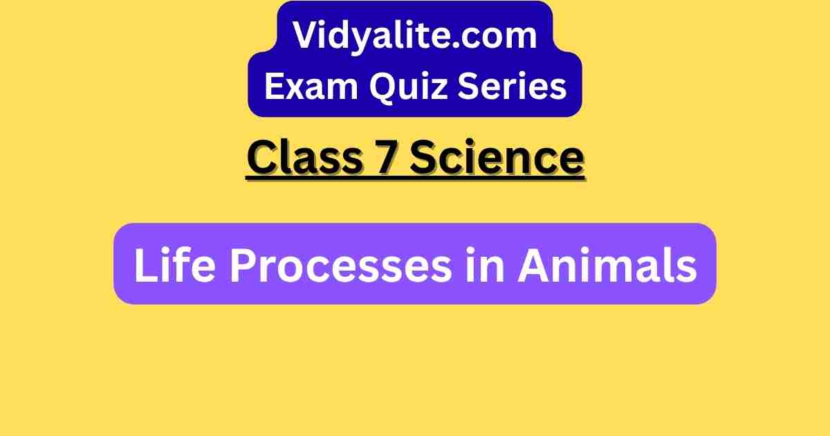 Life Processes in Animals MCQ: 7th Science Chapter 9