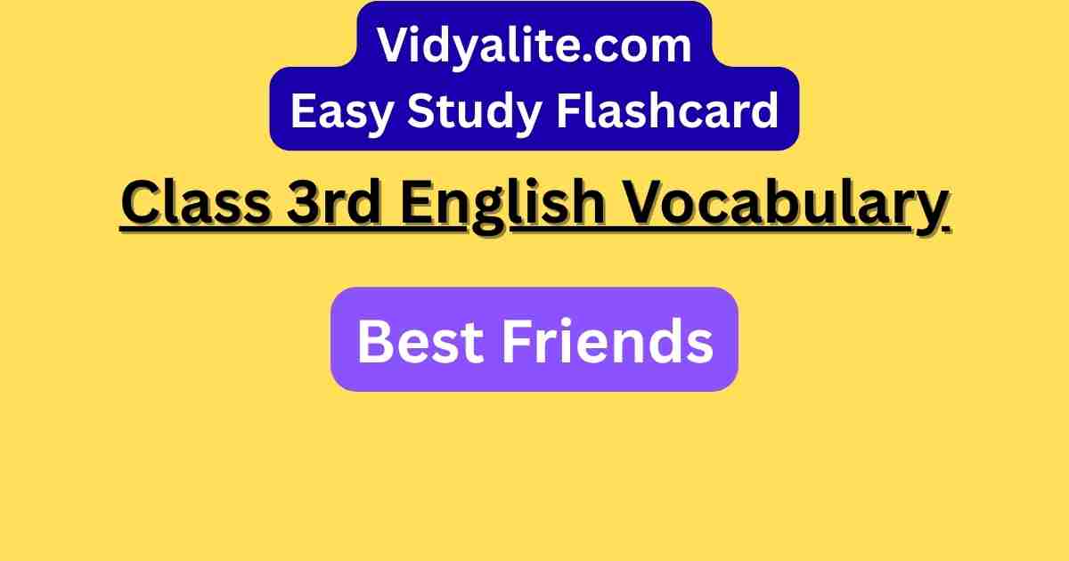 Easy Study: NCERT Class 3rd English Vocabulary: Chapter 3 Best Friends ...